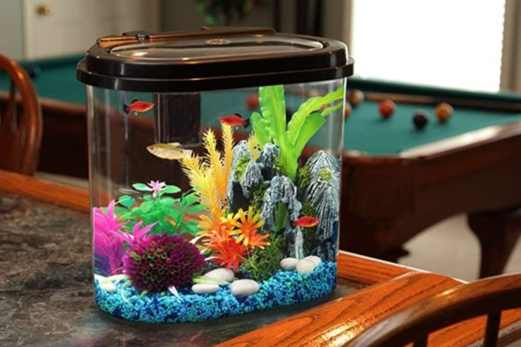 Top 20+ Mẫu Bể Cá Mini để Bàn Làm Việc đẹp Mắt, ấn Tượng